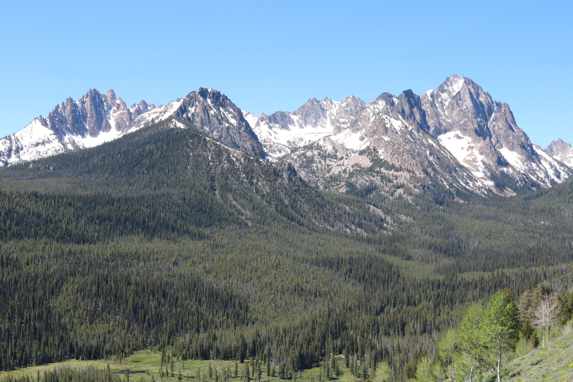 Joining the Board – IAAP